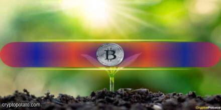 DATs Slow Down, Futures Get Crushed: Is Bitcoin Entering a New, Cleaner Market Regime?