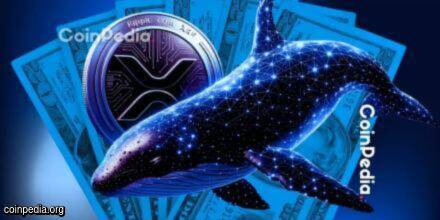 XRP Rich List Sees Major Whale Accumulation