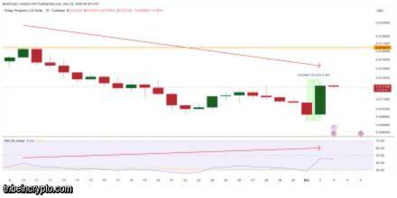 Ayılar PENGU’in Partisini Bozacak Mı? Aralık Başındaki Ralli Düzeltme Riski Taşıyor