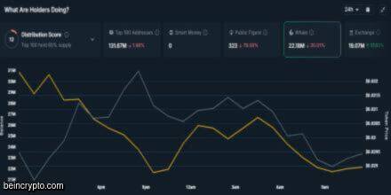 8 Million MONAD Sold By Whales In 24 Hours, Could Price Suffer?