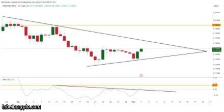 HBAR Fiyatındaki Yükselişe Büyük Yatırımcı Desteği, Ancak Bir Engel Var!