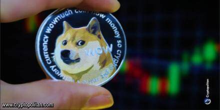 DOGE ETF buzz fades as Dogecoin sinks to new lows