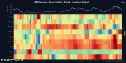 Tom Lee’nin BitMine’i, İki Günde 200 Milyon Dolar ile Ethereum Yatırımını Artırıyor