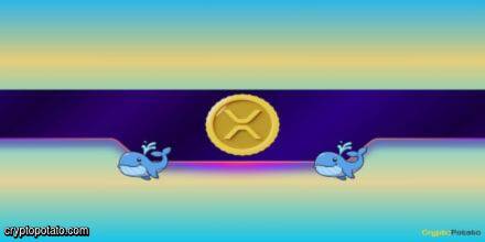 510,000,000 XRP Dumped by Whales Last Week: Good or Bad News for Ripple Prices?