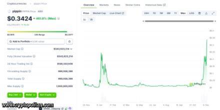 PIPPIN rallies to a record peak as crash worries grow