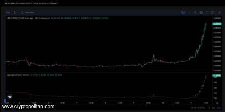 LUNA, JELLYJELLY, and risky memes turn bullish, defying bearish sentiments