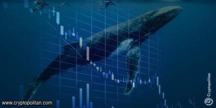 Bitcoin whale who shorted October crash reemerges with bigger long position