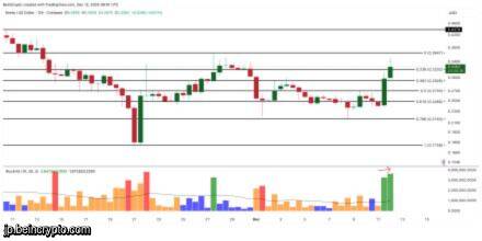 12月13〜14日注目の3つのアルトコイン