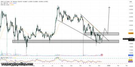 Ripple (XRP) Holders Diversify Into This $0.035 Token Analysts Call the Next Big Cryptocurrency for Portfolio Growth