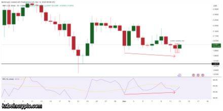 XRP 고래 대량 이동…가격 반응할까