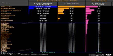 Bitwise’ın 11. Kripto Tahmini Tehlikede: James Seyffart Uyardı