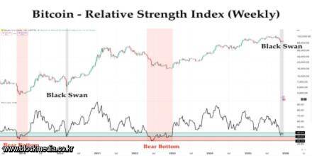 RSI가 보내는 경고…비트코인 바닥은 늘 ‘블랙스완’ 이후였다