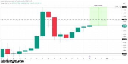 Alerte altcoins explosifs : 3 projets sur le point de tout renverser d’ici Nouvel An