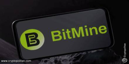 South Korean investors stay committed to BitMine despite 82% stock drop in 2025 