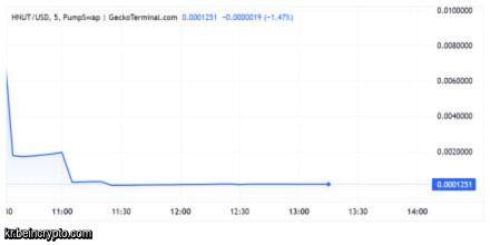 솔라나 밈코인 HNUT, 출시 직후 코인 99% 급락…펙쉴드 ‘번들 럭풀’ 경고