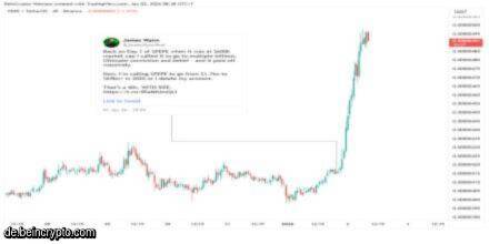 PEPE steigt um 20 Prozent – James Wynn gibt mutige Prognose für 2026
