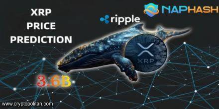 XRP Price Forecast: Whales Buy $3.6 Billion as Investors Earn $17,500 a Day in Passive Income Through NAP Hash Cloud Mining
