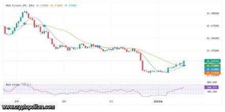Cardano (ADA) Whales Rotate Into This Under $0.05 Token Analysts Call The Best Cryptocurrency to Invest Today