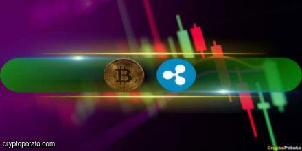 Bitcoin’s Rally Stopped at $95K, Ripple’s XRP Surges by Double Digits: Market Watch
