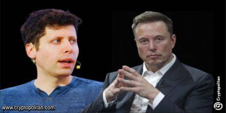 Retail investors are already picking sides in the coming OpenAI vs SpaceX IPO showdown