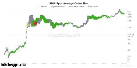 가격 견조함 보이는 BNB, 올해 급락 가능성 낮은 3가지 이유
