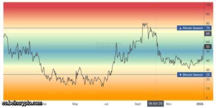 Plan de altseason de Michaël van de Poppe al descubierto: ¿Por qué 2026 podría recompensar a los pacientes?