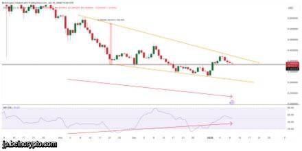 カルダノ上値重く 保有者動向で50%上昇期待後退