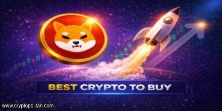 Best Crypto to Buy With $300? Investors Prefer This New Altcoin Over Shiba Inu (SHIB)