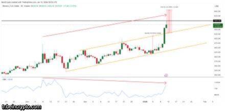 Ocak 2026’nın İkinci Haftasında Tüm Zamanların En Yükseğine Çıkabilecek 3 Altcoin