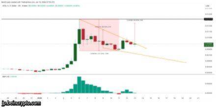 オニキスコイン再び急騰の兆し　売り圧力9割減少か　チャートが示す今後