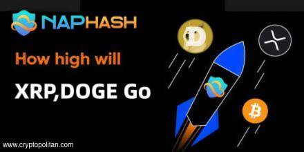 Could XRP and Dogecoin Surge in 2026? Investors Are Making $15,700 Day with NAP Hash Cloud Mining!