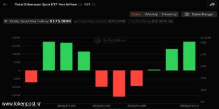 이더리움 현물 ETF 1억7500만 달러 순유입…사흘째 플러스 흐름