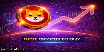Best Crypto to Buy for 20x Upside? Experts Compare Shiba Inu (SHIB) and This New Altcoin