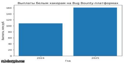 Выплаты белым хакерам в России выросли почти на 50%