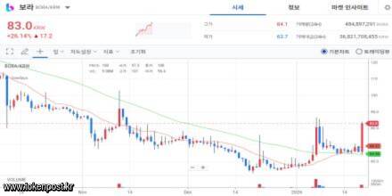 [오늘의 주목 코인] 보라(BORA) 강세…공포·탐욕 지수 94 ‘매우 탐욕’