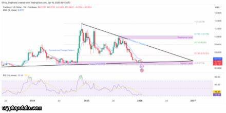 210,000,000 ADA Bought in 3 Weeks: What Do Cardano Whales Know?