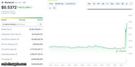 Worldcoin sube 16% después de informe de que OpenAI está explorando prueba de personalidad