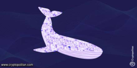 Whale snaps up $7M in XAUT amid market moves