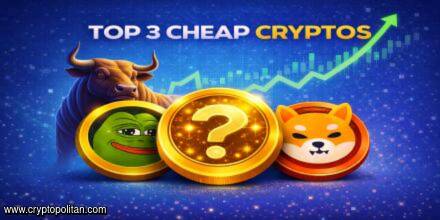 Top 3 Altcoins as Cheap Cryptocurrency Market Turns Bullish