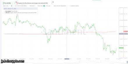 2026年2月、クジラが注目する暗号資産
