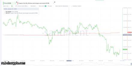 Активность крупных держателей и перспективы SHIB, PENDLE и ADA в феврале