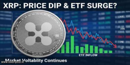 1,679만 달러 유입… XRP ETF '매수 행렬' 속 1.55달러 방어 주목