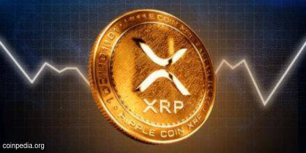 XRP Price Holds Support After Selloff as On-Chain Data Shows Reduced Downside Risk