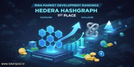 278점 개발 점수로 1위… 헤데라, 2,400억 달러 RWA 시장서 LINK·AVAX 제쳤다
