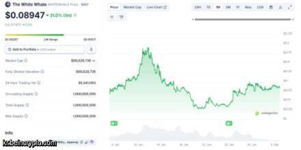 솔라나 밈코인 화이트웨일(WHITEWHALE), 갑자기 빛 보는 이유는?