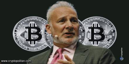 Peter Schiff says Bitcoin is in a long-term bear market against gold