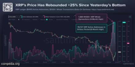 Crypto Market Today Rebounds as Bitcoin, XRP Rally After Panic Sell-Off