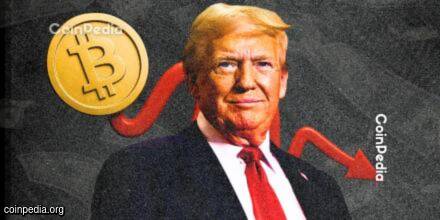How Hard Has the Crypto Market Crash Hit Donald Trump’s Holdings?