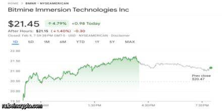 BitMine купила Ethereum на $83 млн вопреки падению курса