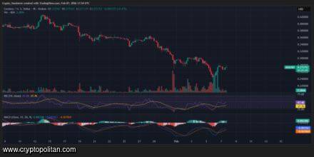 Best Crypto to Buy: Mutuum Finance (MUTM) Outshines Cardano (ADA) as the Whale Favorite in 2026